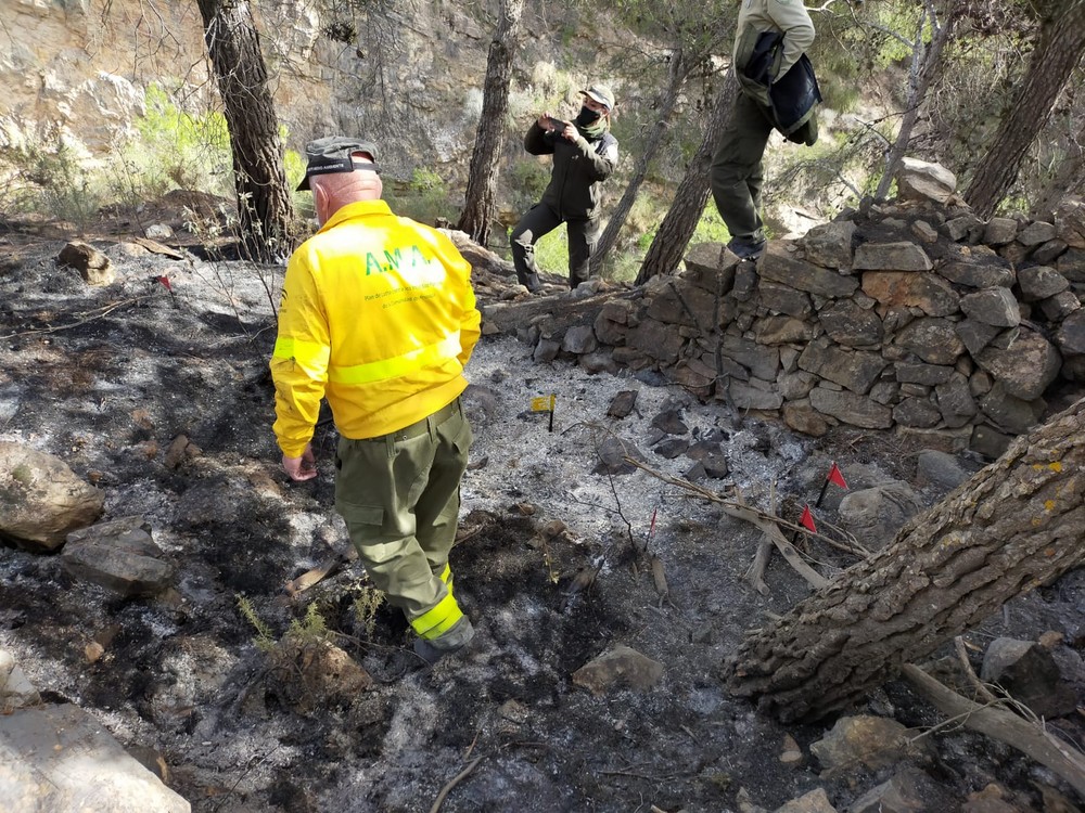 Comienza La Investigación Para Determinar Las Causas Del Incendio De La